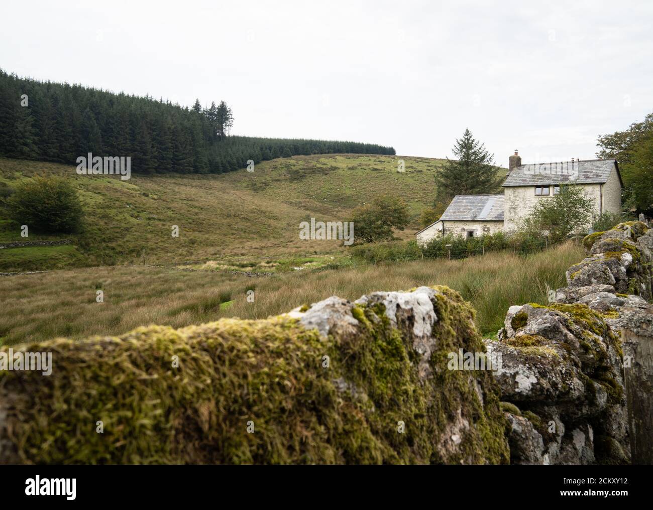 A farmhouse and dry stone wall on Exmoor, Devon, UK Stock Photo - Alamy