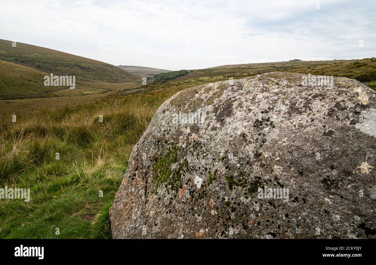 A large granite boulder on Dartmoor, Devon, UK Stock Photo - Alamy