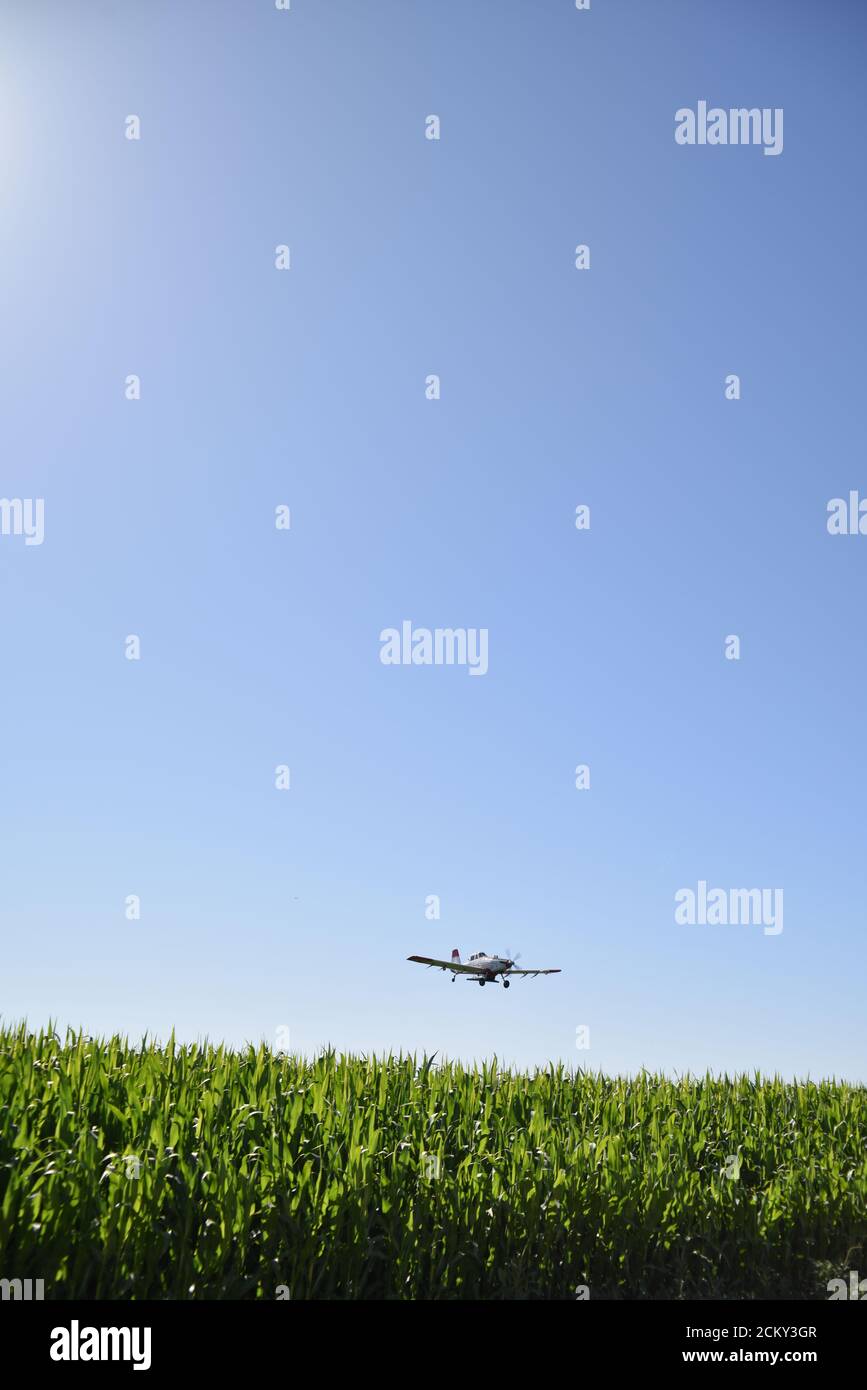 Cornfield crop duster hi-res stock photography and images - Alamy