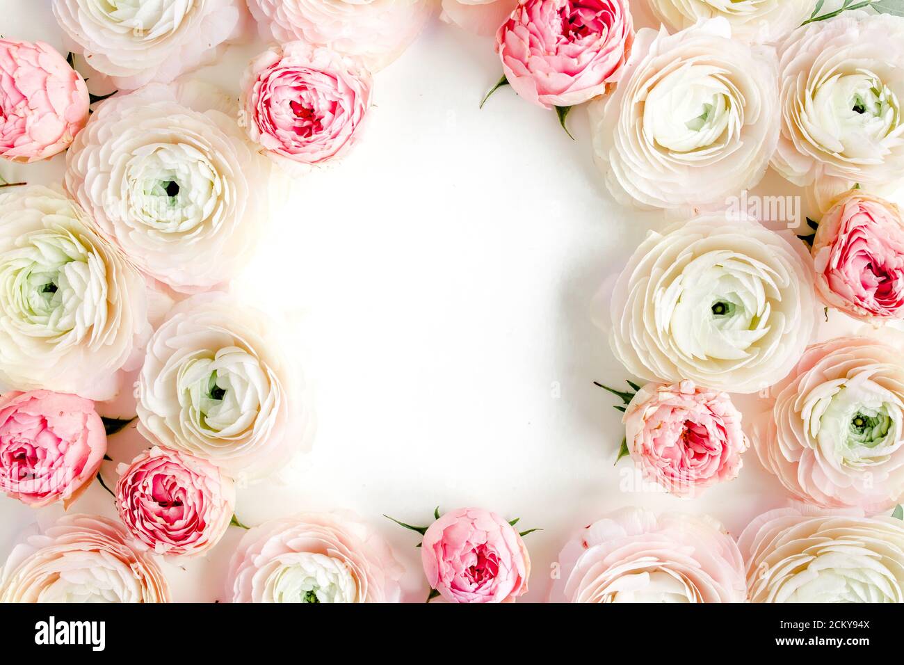 Floral frame borders made of pink ranunculus and roses flower buds on ...