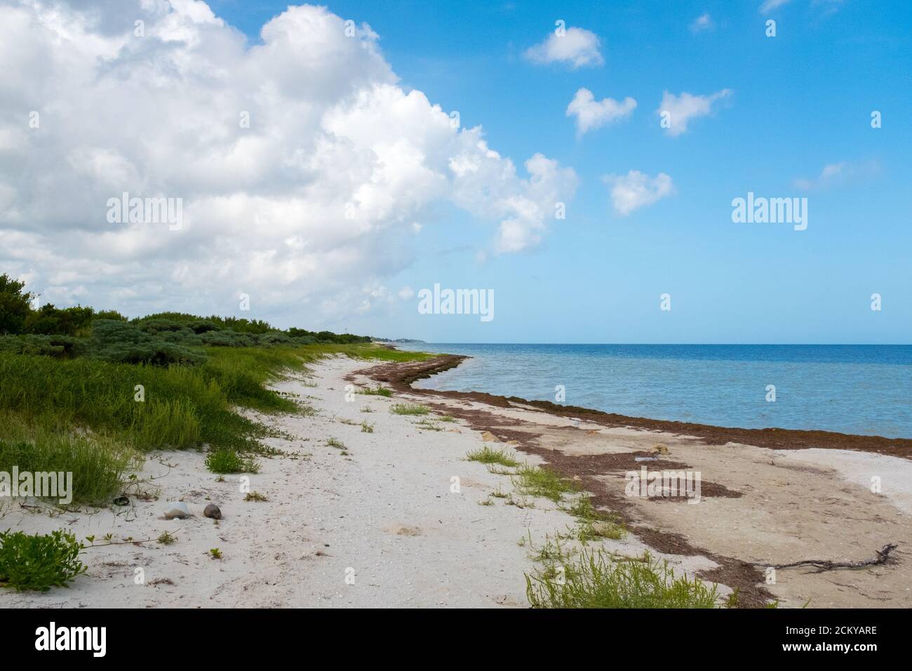Wild beach Yucatan , Mexico Stock Photo - Alamy