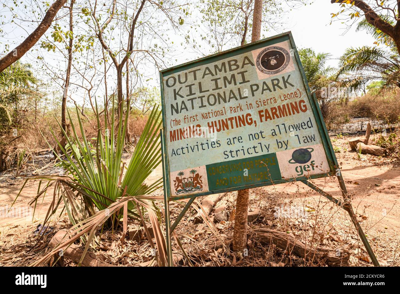 Kilimi hi-res stock photography and images - Alamy