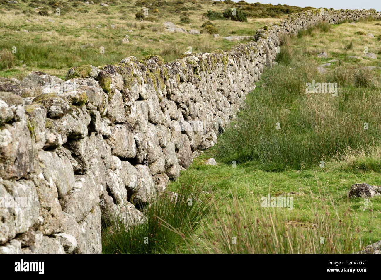 A dry stone wall on moorland, Dartmoor, Devon, UK Stock Photo - Alamy