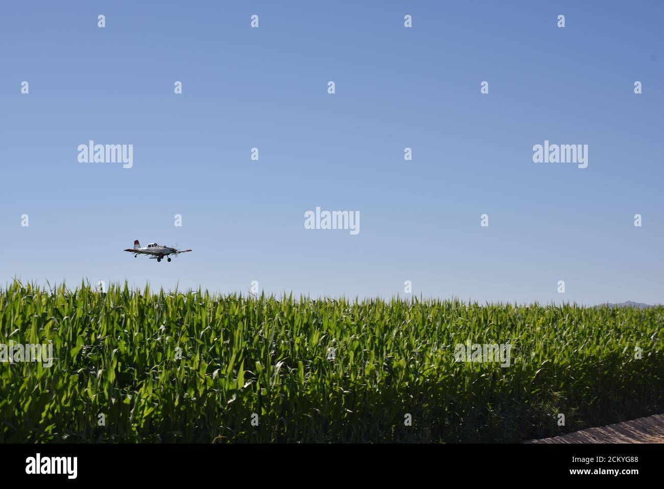 Buckeye, AZ., U.S.A. 5/20/2020. Buckeye crop duster N9119B over corn ...