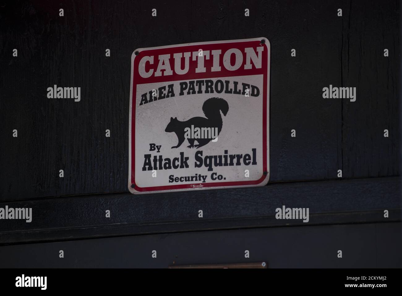 Funny ATTACK SQUIRREL CAUTION sign on wooden door Stock Photo - Alamy