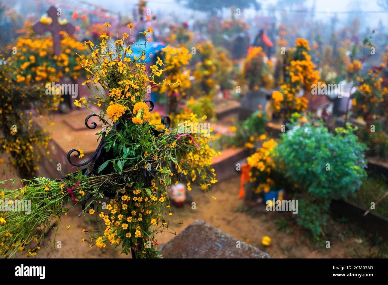 Mexico cemetery hi-res stock photography and images - Alamy