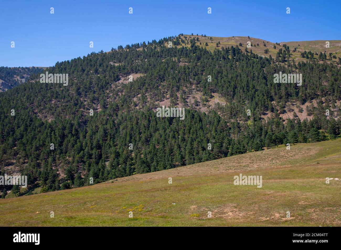 Zigana highland mountain scenery in the Black Sea region of , Gumushane ...