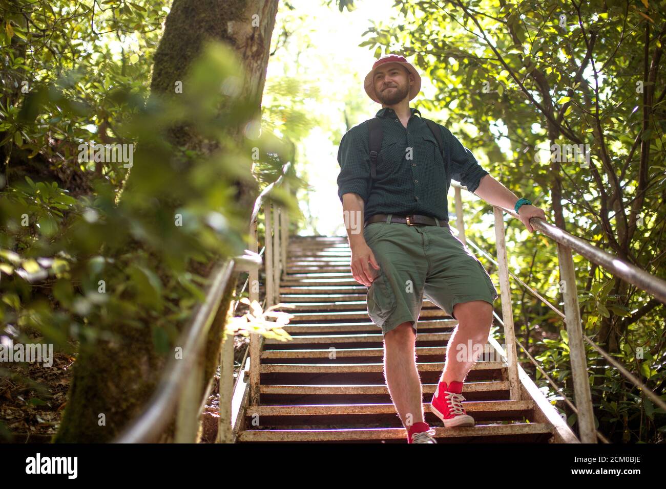 Hiker walks over wooden stairs through green forest in nature reserve ...