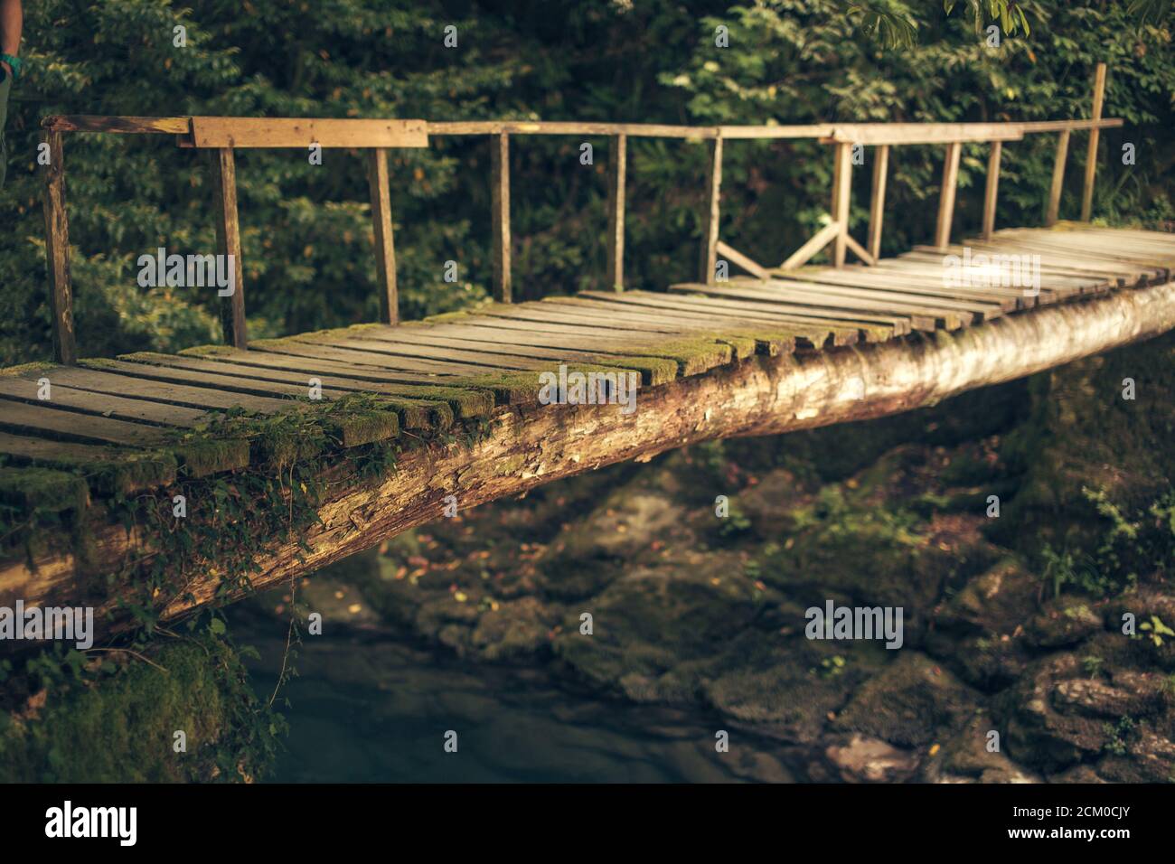 Old wooden broken bridge in deep forest over mountain river, natural ...
