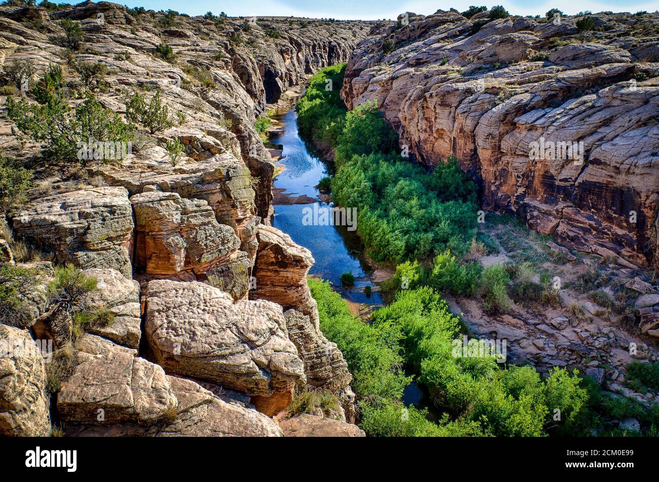 Chevelon Canyon a steep walled gorge in Arizona Stock Photo - Alamy