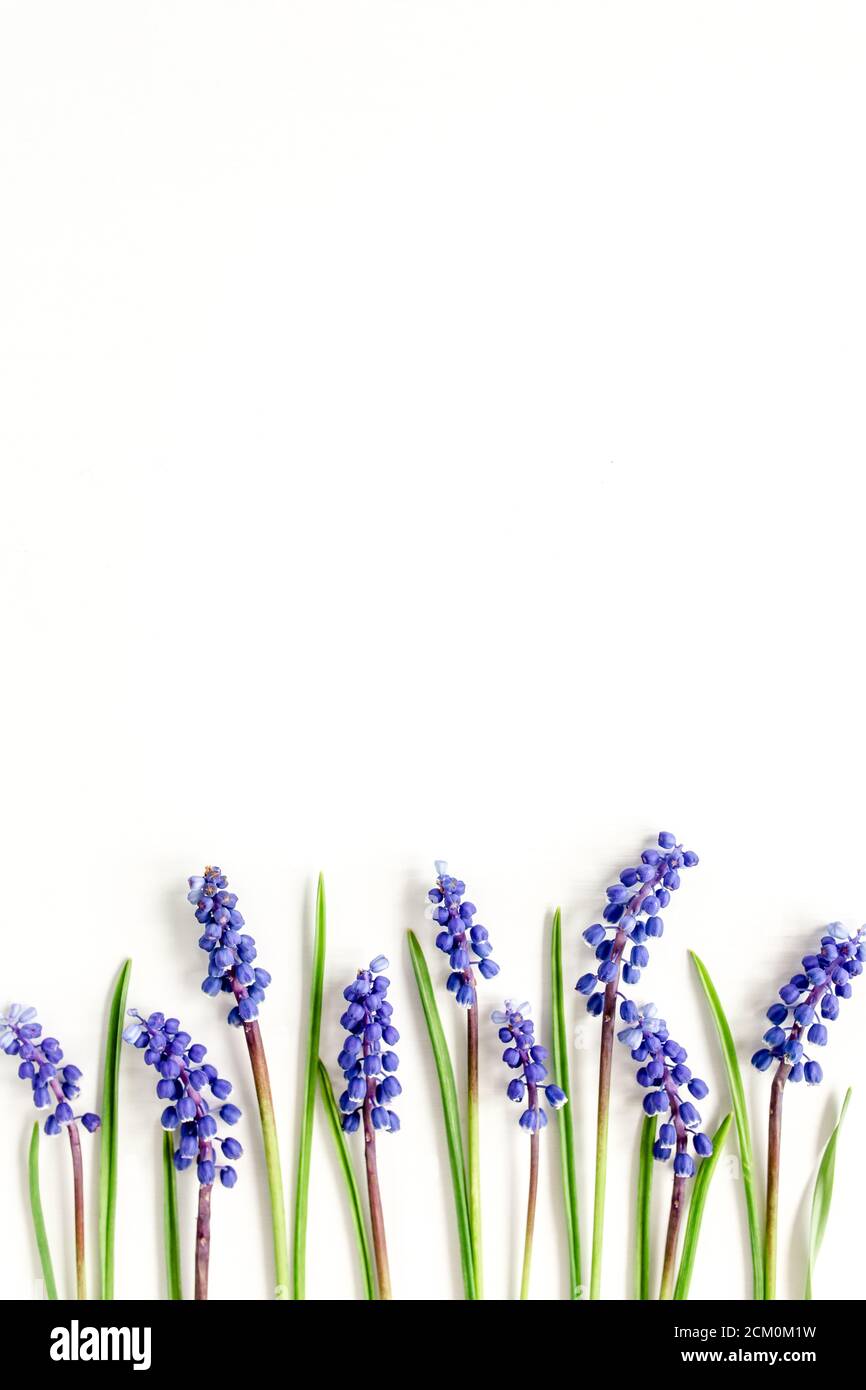 Round floral frame blue Cut Out Stock Images & Pictures - Alamy