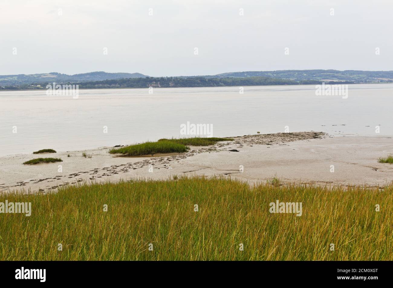 sandy tracks on the beach grass Stock Photo - Alamy