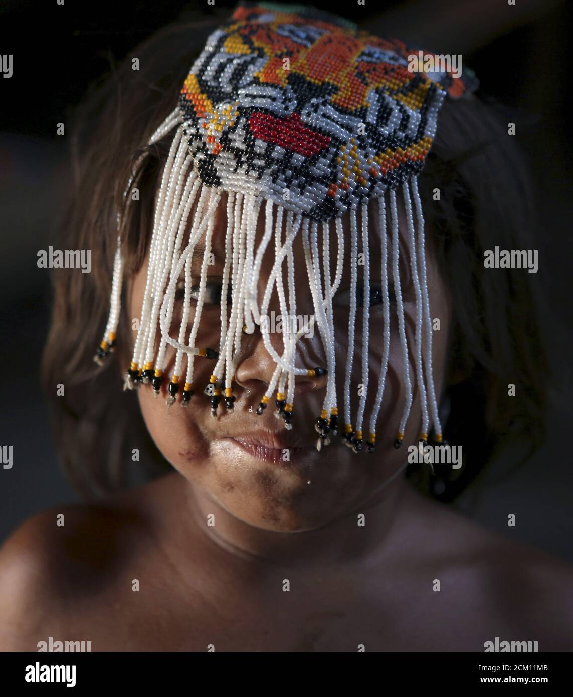 Kamayura High Resolution Stock Photography and Images - Alamy