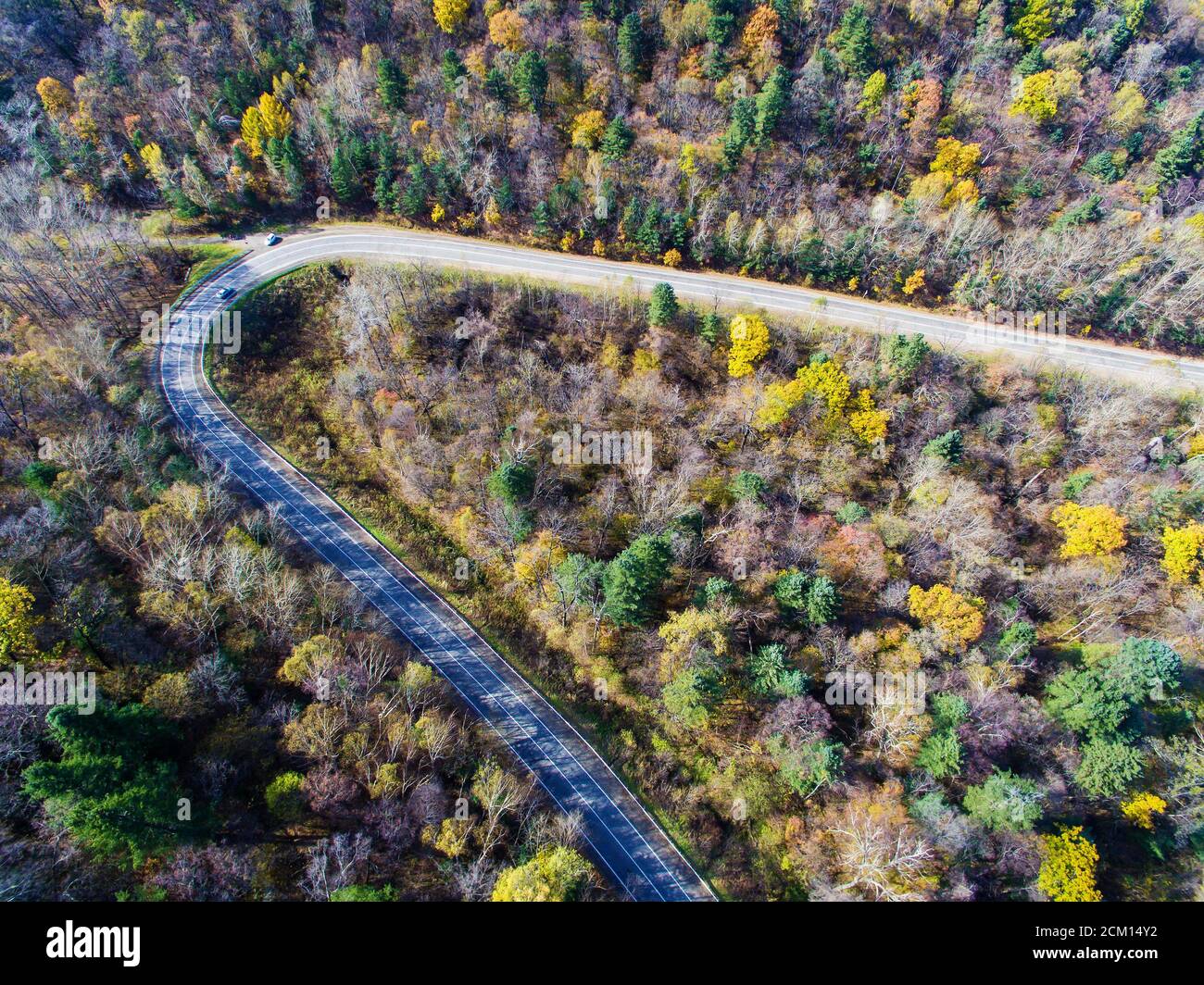 Red rally car among trees hi-res stock photography and images - Alamy