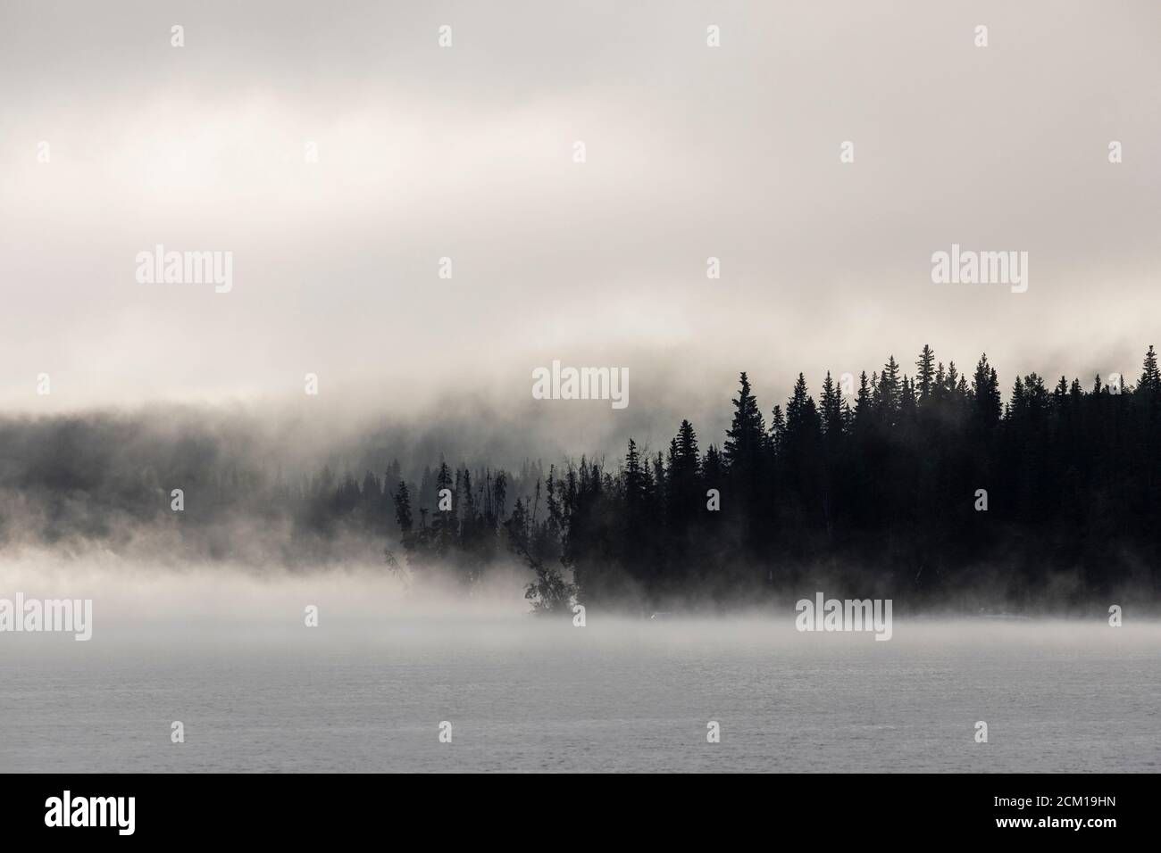 Thick mist floating over calm lake water during sunrise in morning in ...