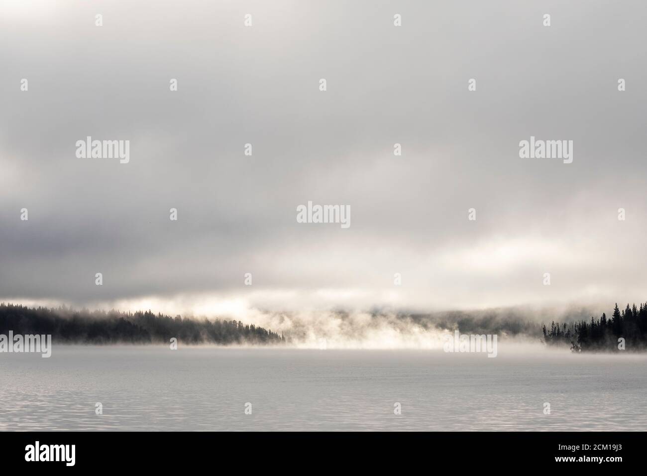 Thick mist floating over calm lake water during sunrise in morning in ...