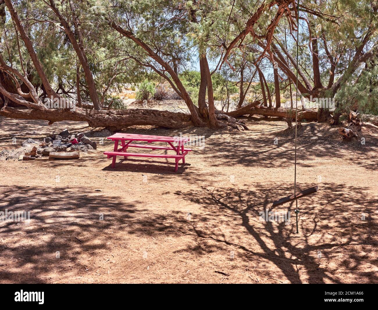 A picnic table and rope swing in a shaded cluster of trees Stock Photo ...