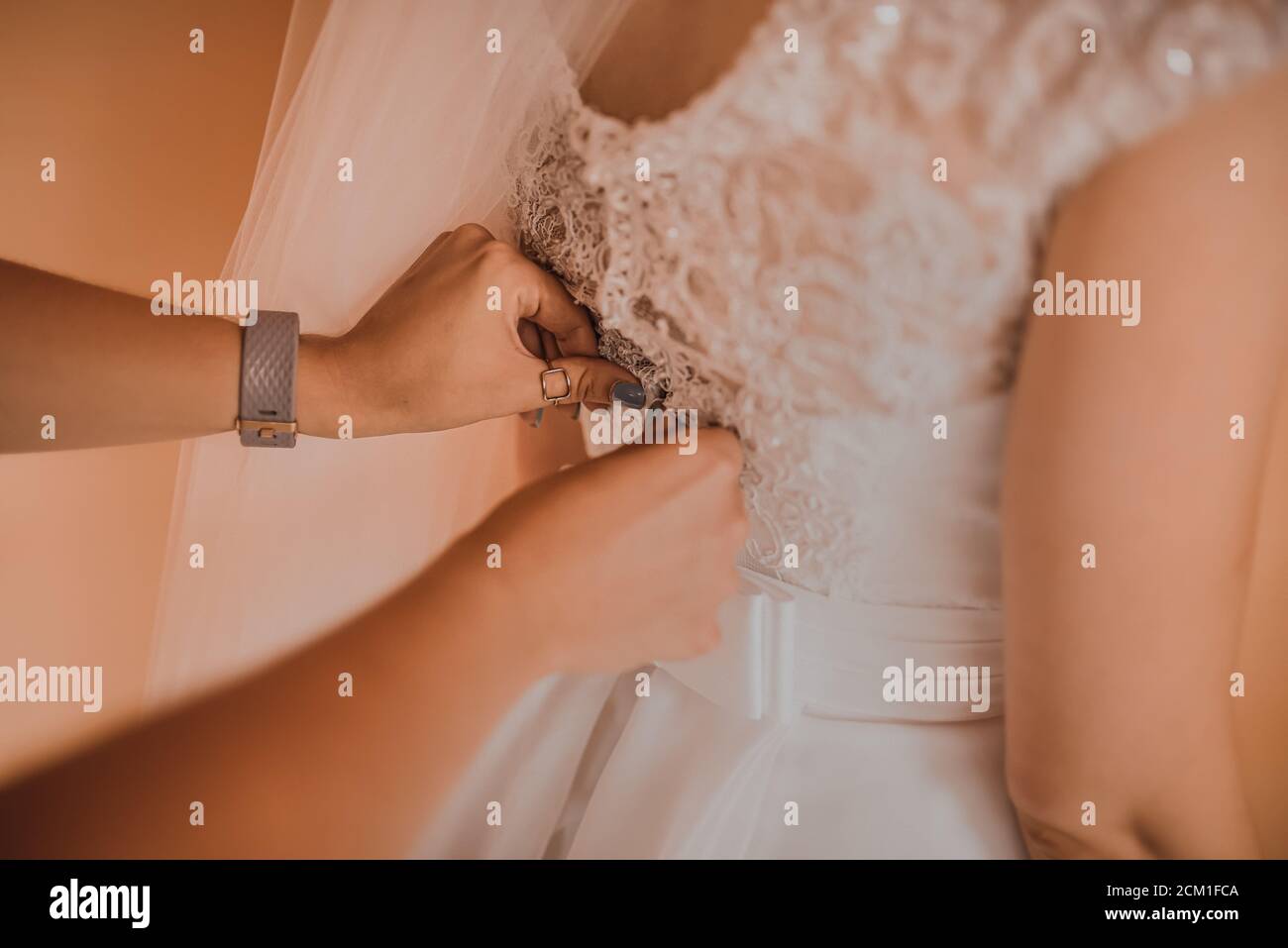 The back of the bride in a wedding dress Stock Photo - Alamy