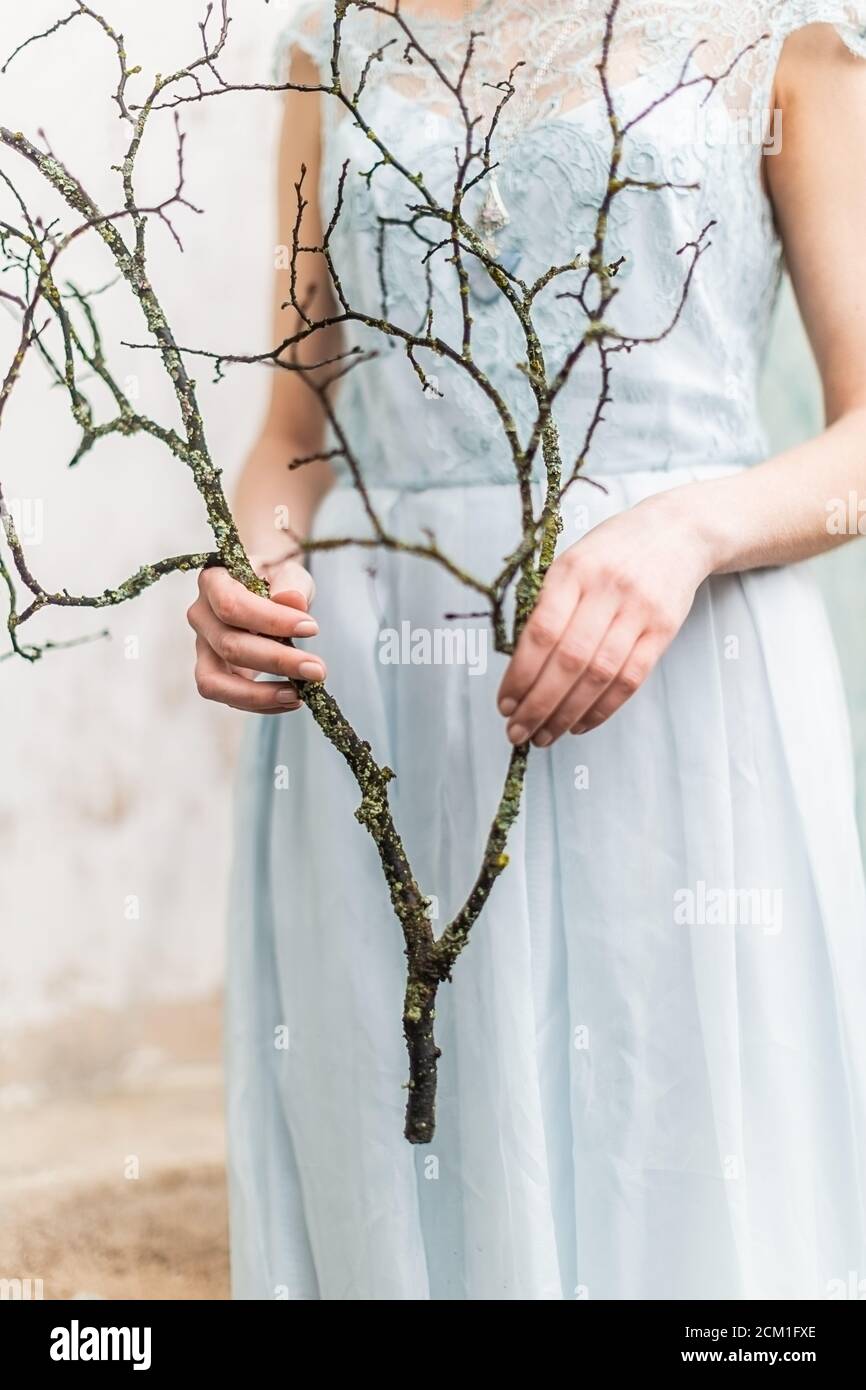 Girl in a blue chiffon lace dress holding dead tree branch with moss ...