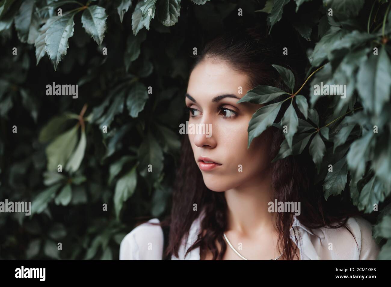 Portrait of a woman in the bushes Stock Photo - Alamy