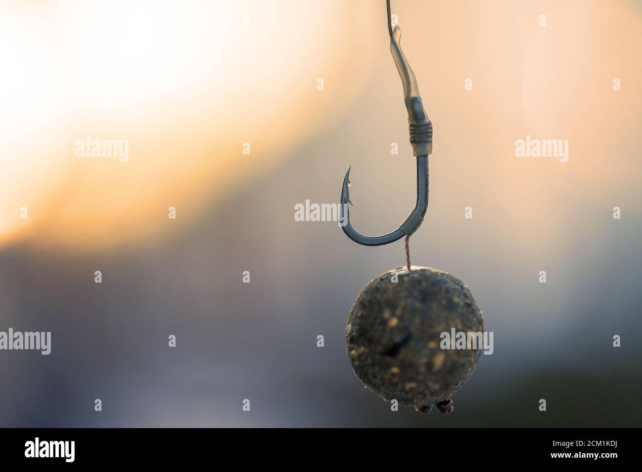 Carp fishing. Different of carp boilies and accessories for carp ...