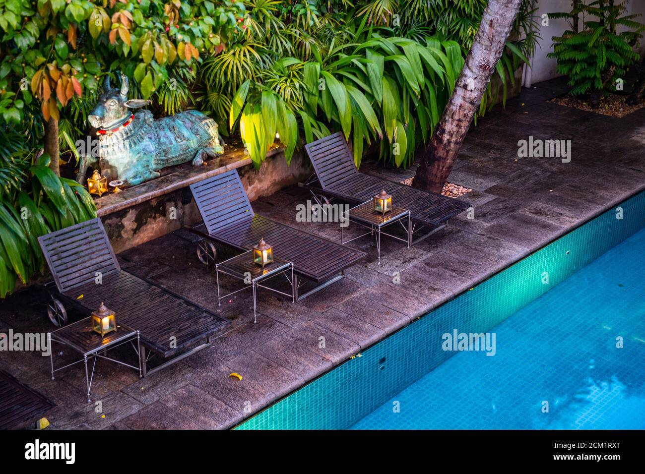 swimming pool at luxury boutique hotel in Colombo Stock Photo - Alamy
