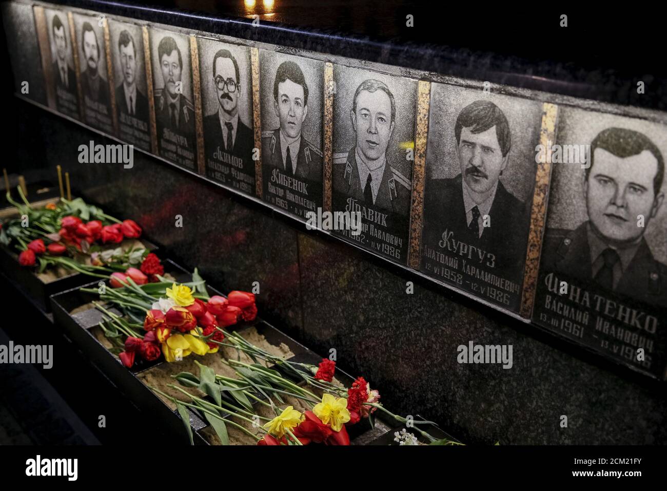 Chernobyl flowers hi-res stock photography and images - Alamy