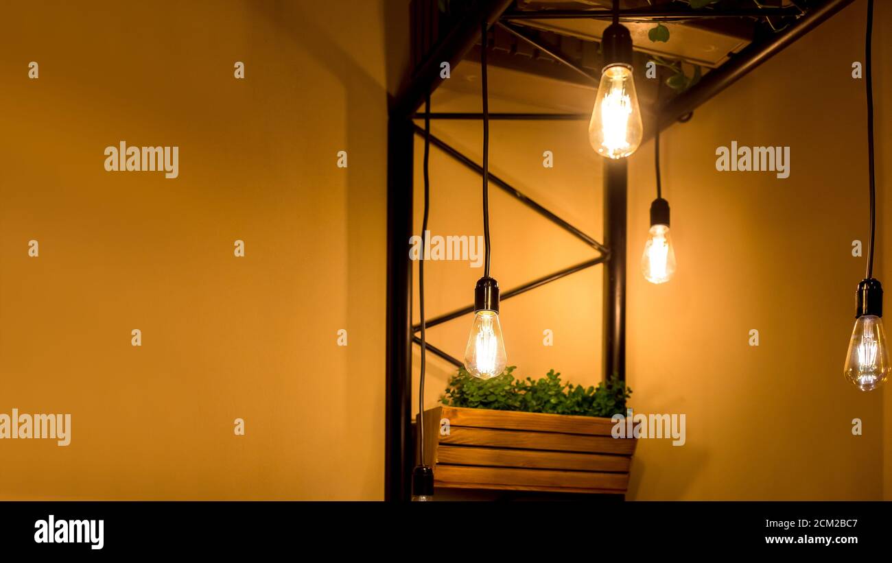 pendant edison bulbs in a cafe with wooden pots with green plants ...