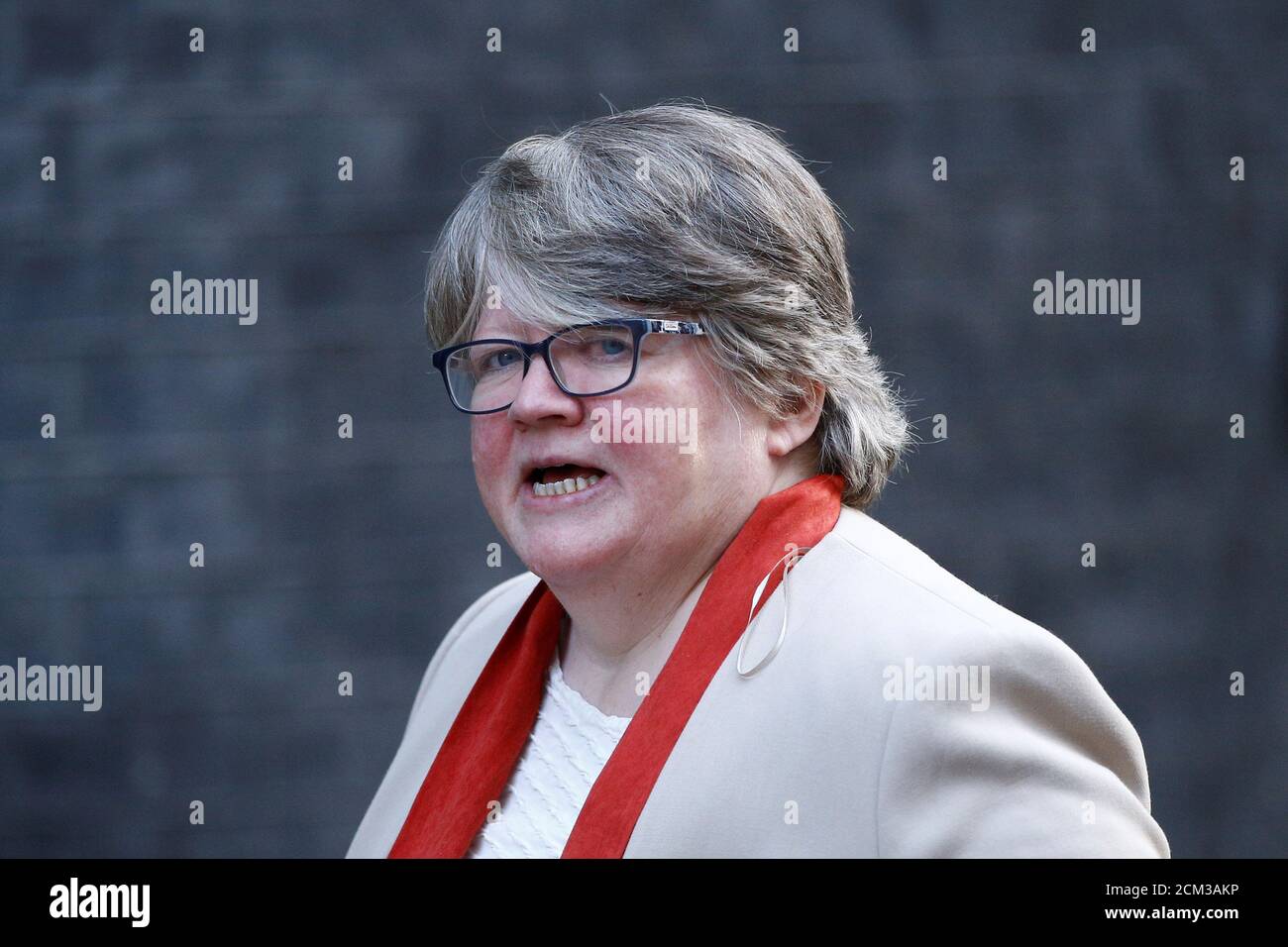 Therese Coffey High Resolution Stock Photography and Images - Alamy