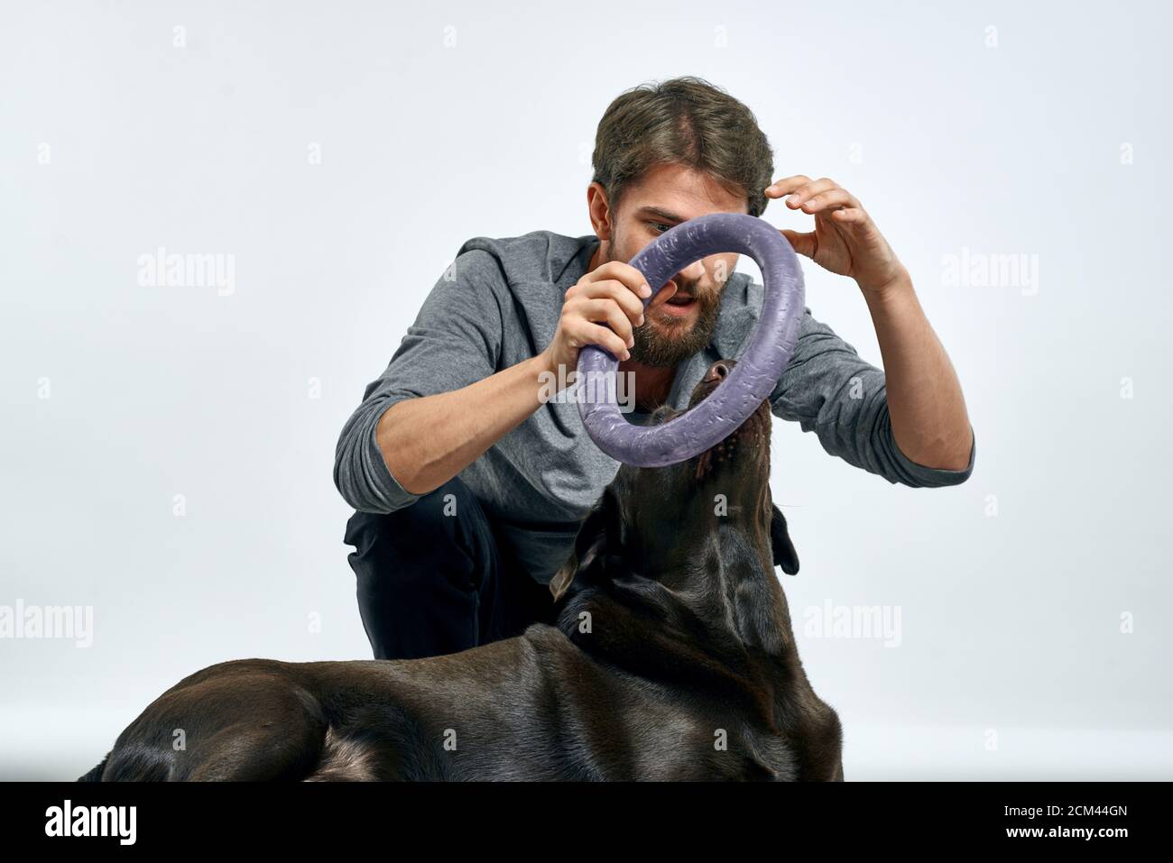 happy owner with pet black dog training model emotions Stock Photo - Alamy