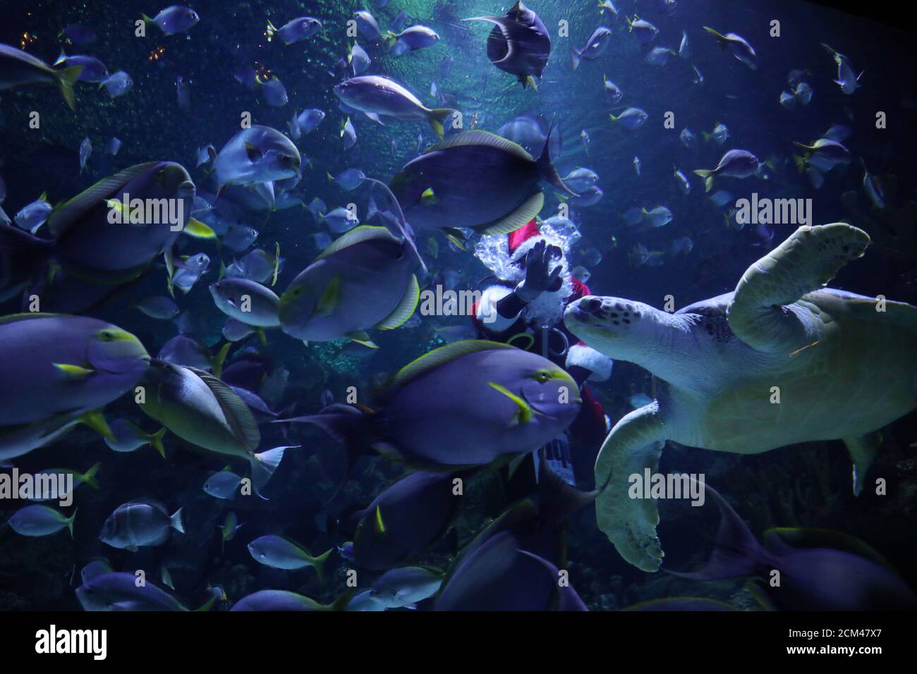 The aquaria klcc hi-res stock photography and images - Alamy