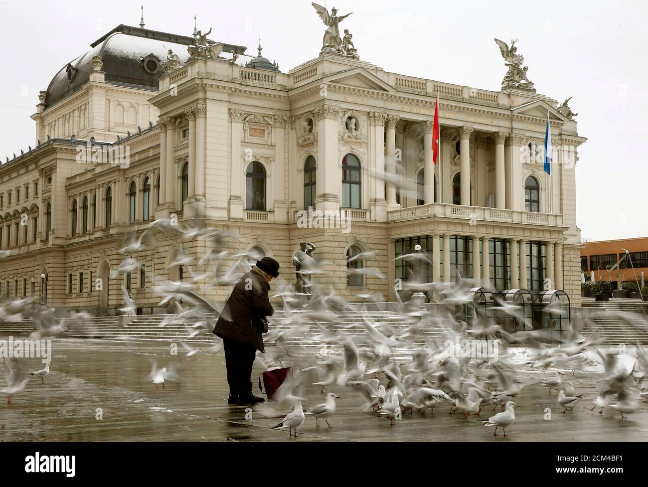 Opera house wildlife hi-res stock photography and images - Alamy