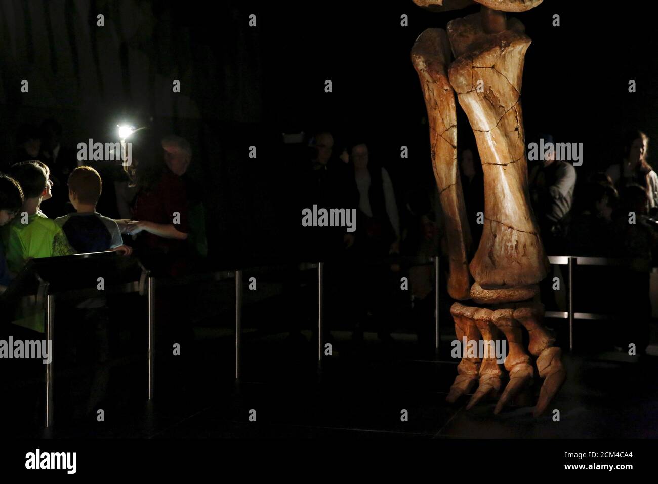 New york museum elevator hi-res stock photography and images - Alamy