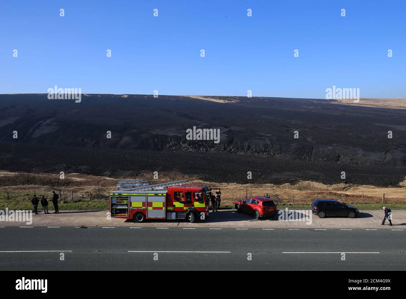 Close moss hi-res stock photography and images - Alamy