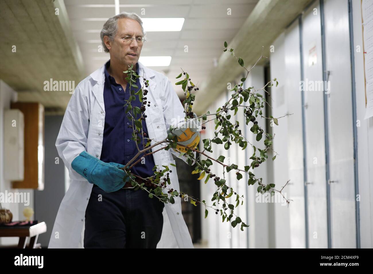 Shabtai hi-res stock photography and images - Alamy