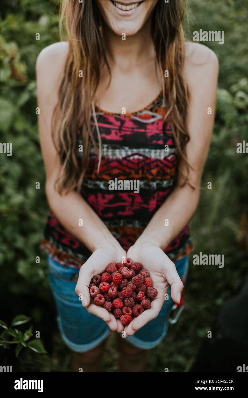 Raspberry field scotland hi-res stock photography and images - Alamy
