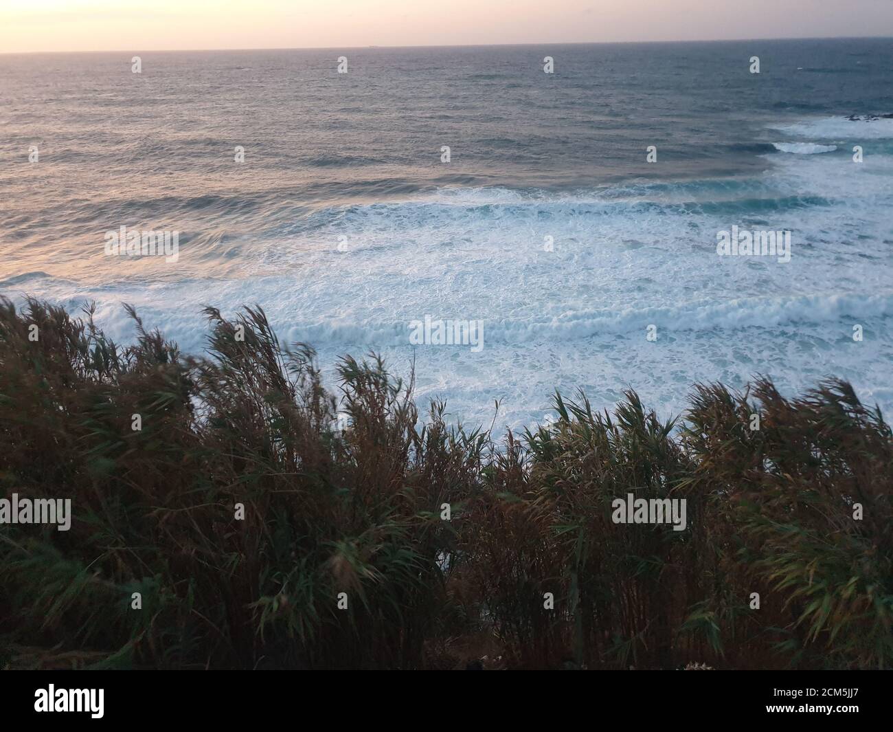 High angle shot of a beach with weeds on the shore Stock Photo - Alamy