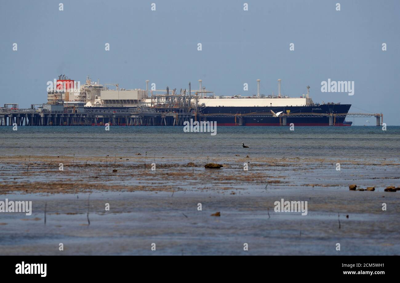 Papua new guinea png environment hi-res stock photography and images ...