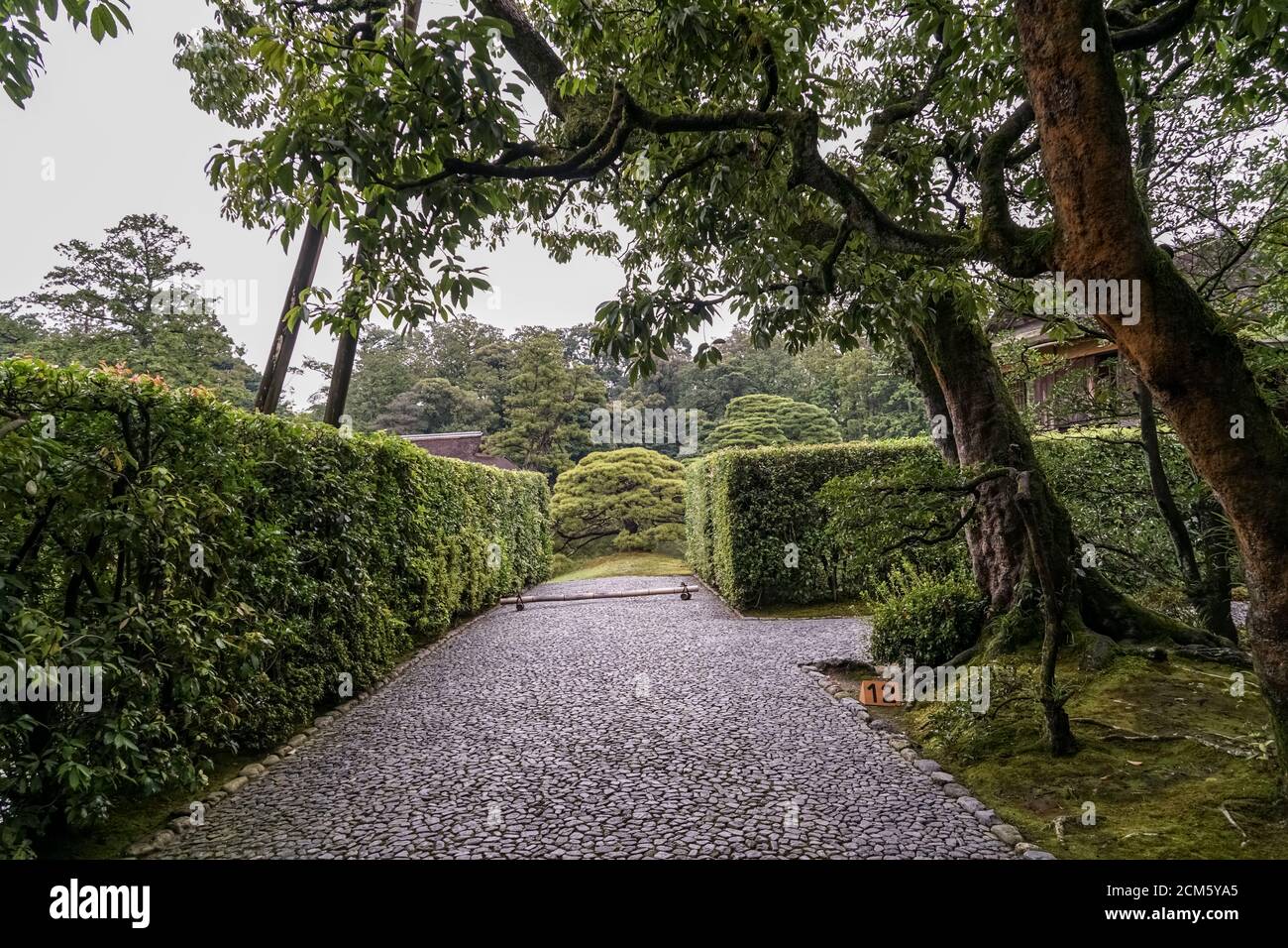 Sumiyoshi no matsu, pine tree at the Japanese Garden of Katsura ...