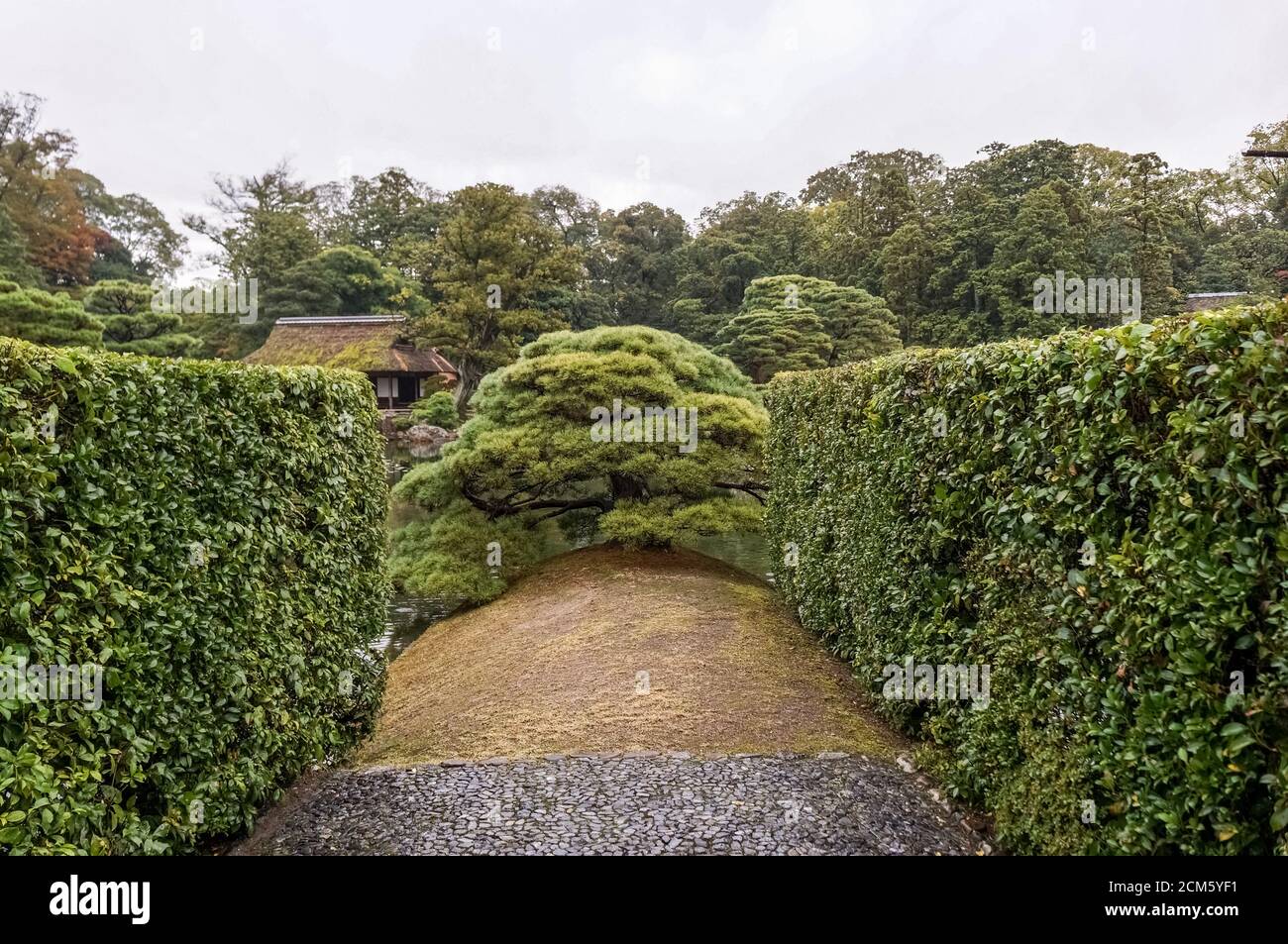 Sumiyoshi no matsu, pine tree at the Japanese Garden of Katsura ...