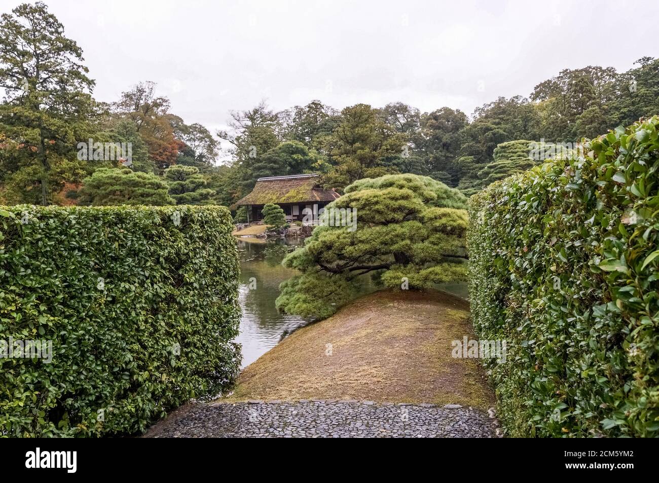 Japanese Gardens Kyoto Tree High Resolution Stock Photography and ...