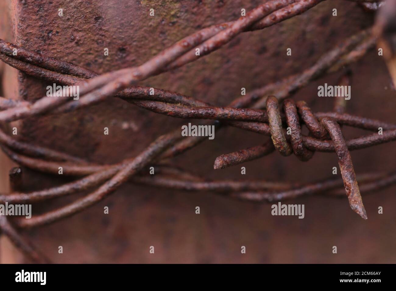 Wire wrap hi-res stock photography and images - Alamy