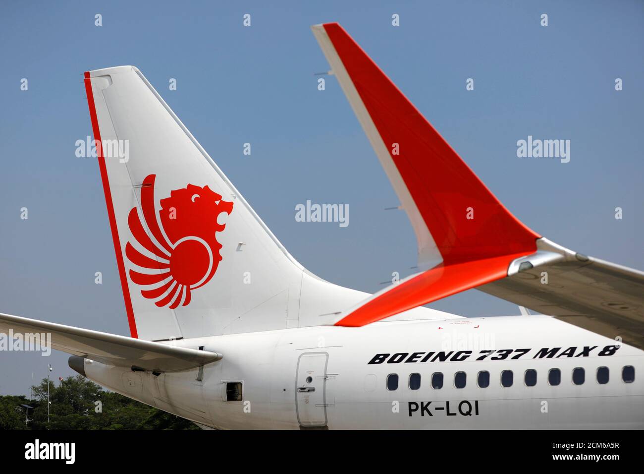 737 max 8 lion hi-res stock photography and images - Alamy