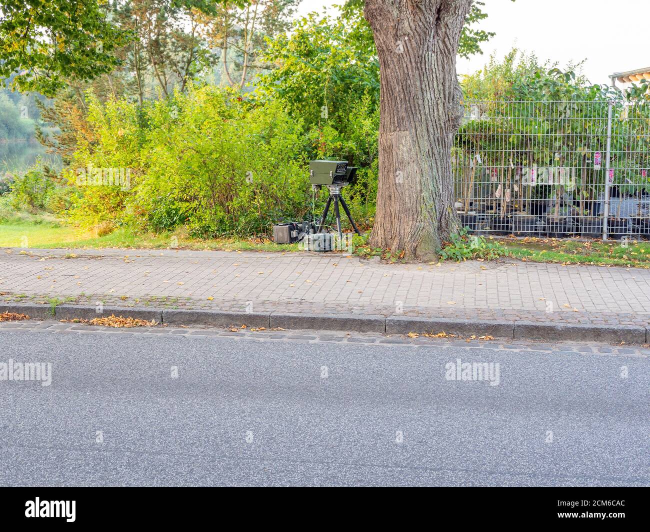 behind a tree is a radar trap for speed monitoring Stock Photo - Alamy