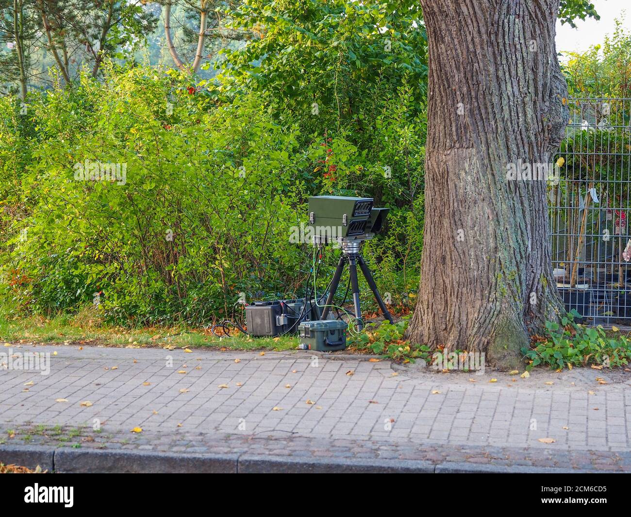 behind a tree is a radar trap for speed monitoring Stock Photo - Alamy