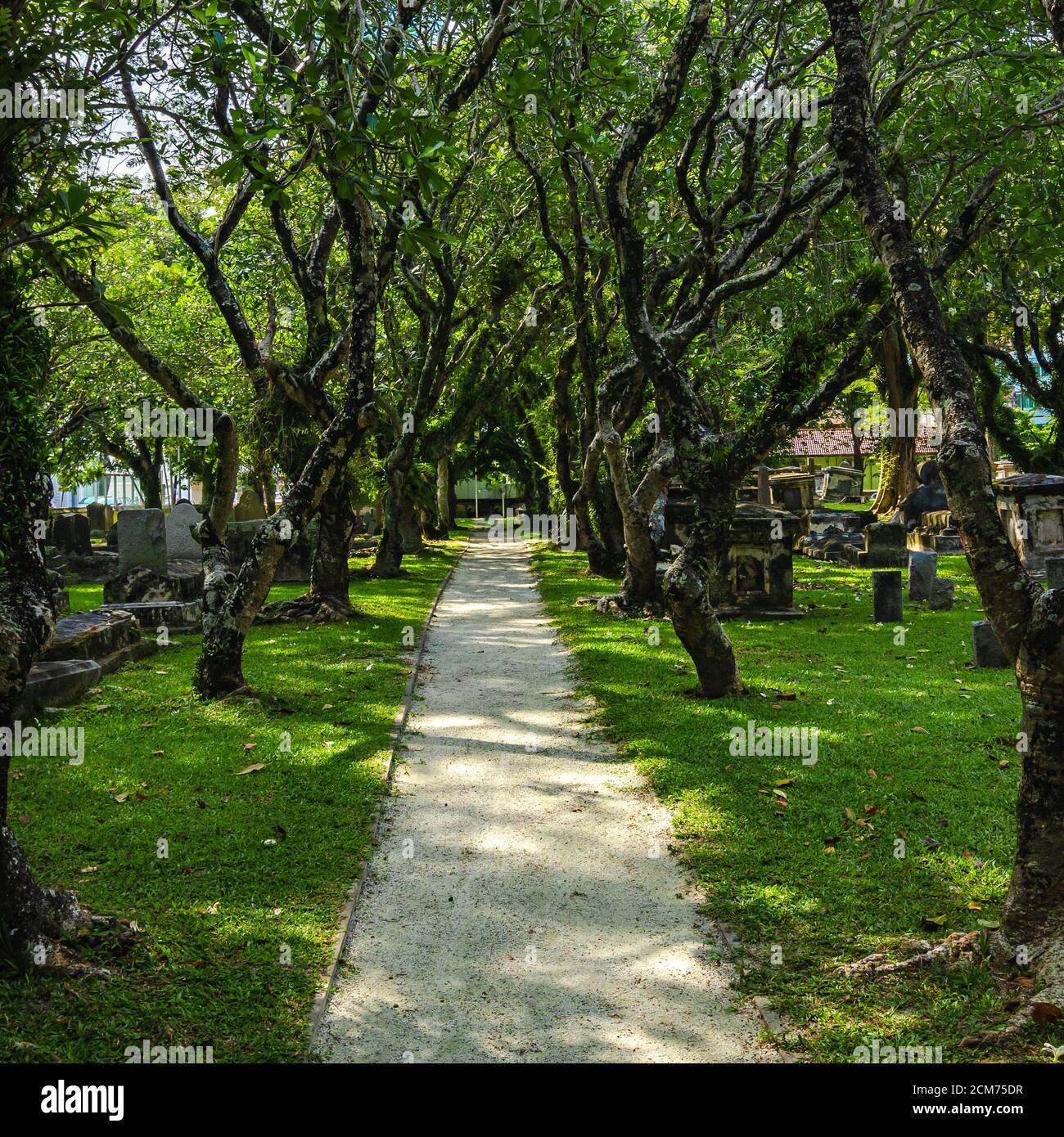 Old christian cemetery hi-res stock photography and images - Alamy