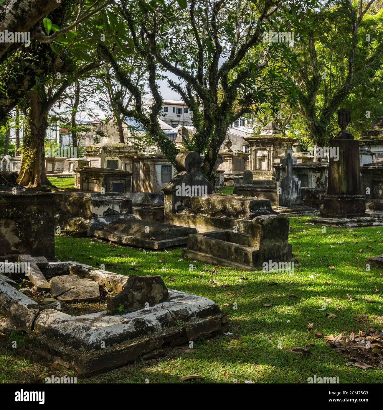 old park, old christian cemetery, in the tropics, penang Stock Photo ...
