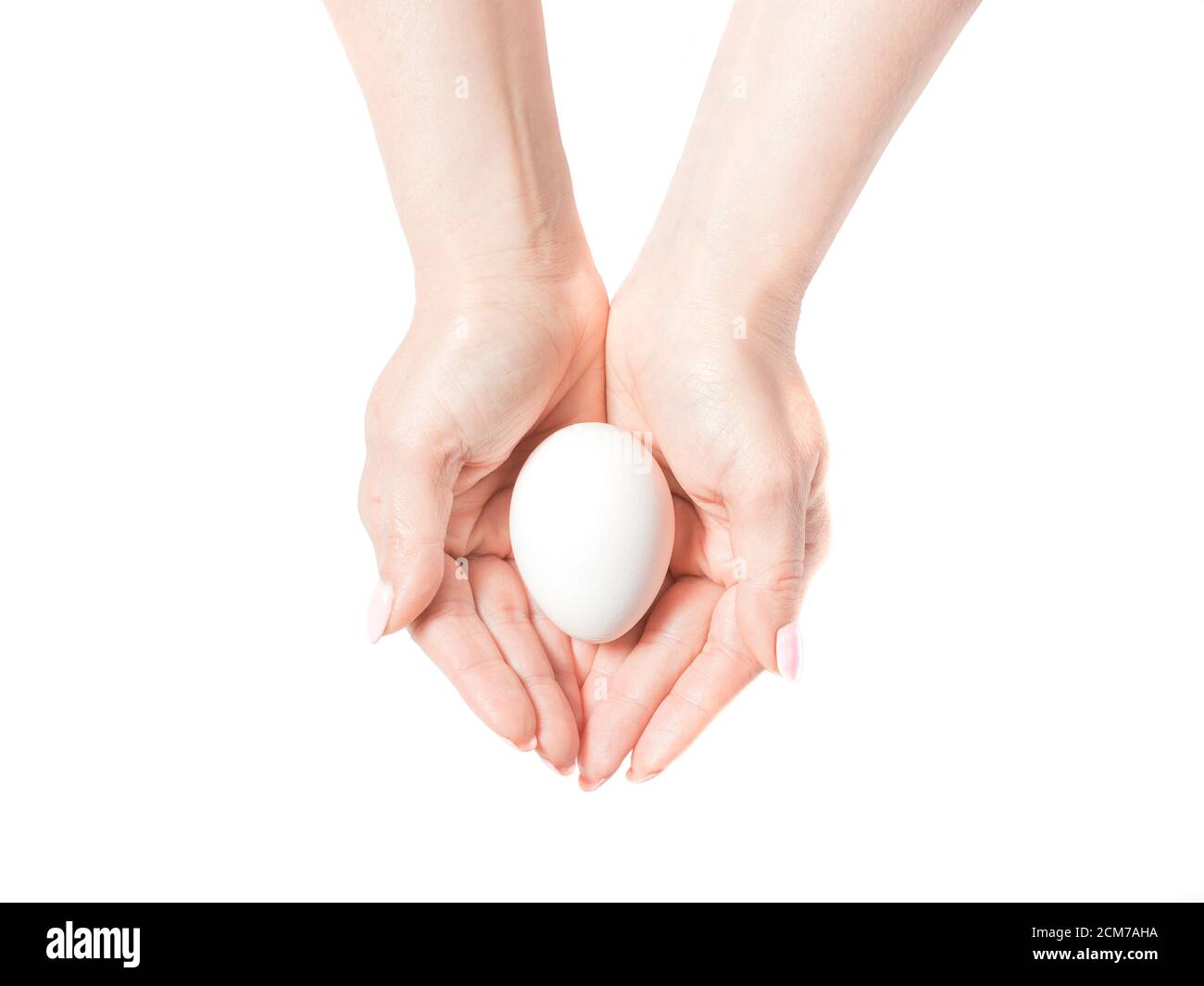 Woman hands with white egg isolated on white background, concept Stock ...