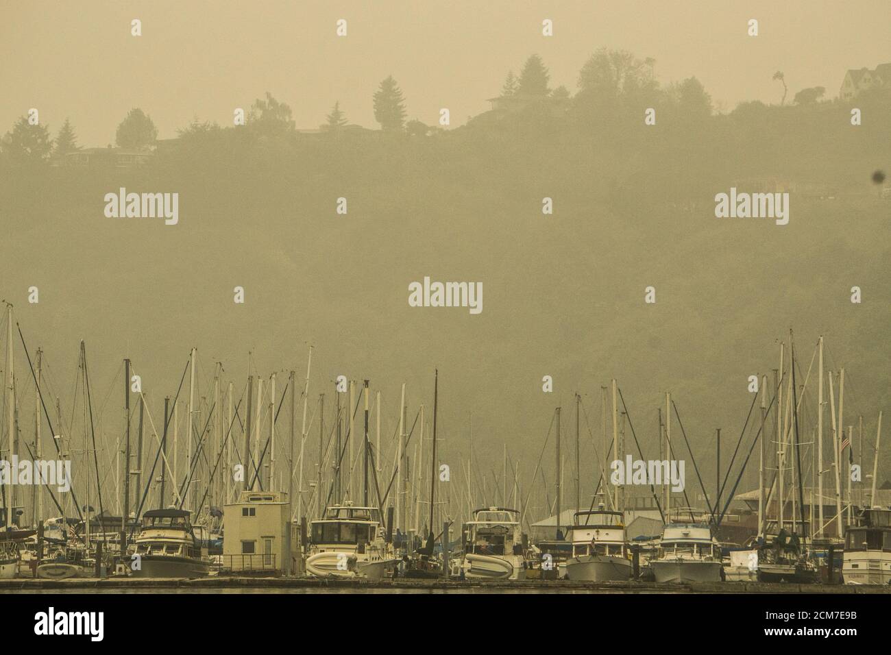 Forest fire haze over hi-res stock photography and images - Alamy