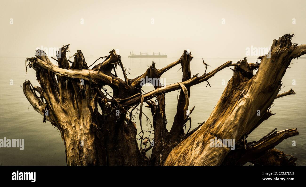 Under the fires hi-res stock photography and images - Alamy